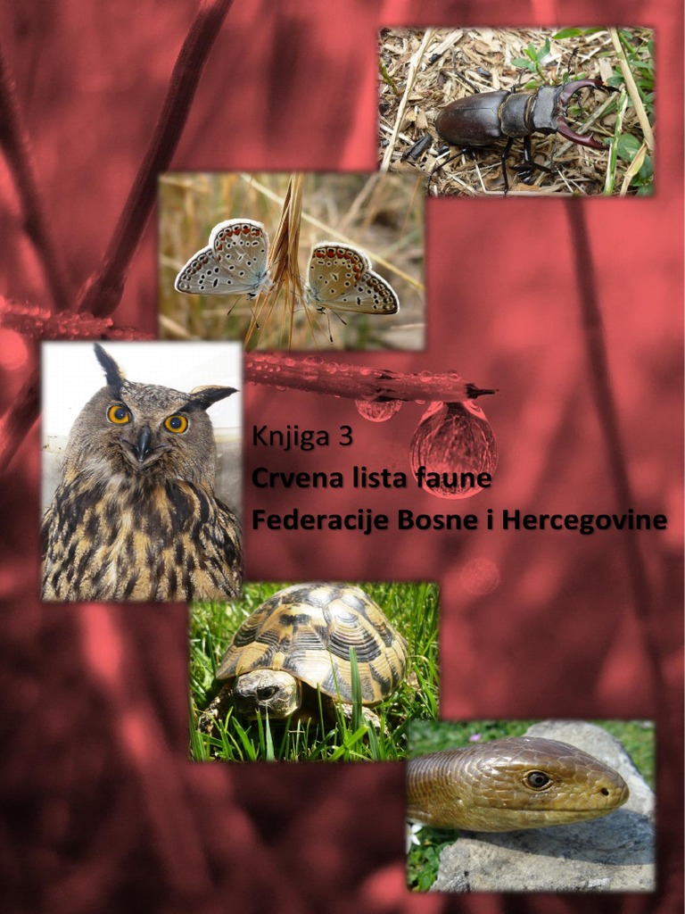 Crvena Lista Faune FBiH PDF | PDF