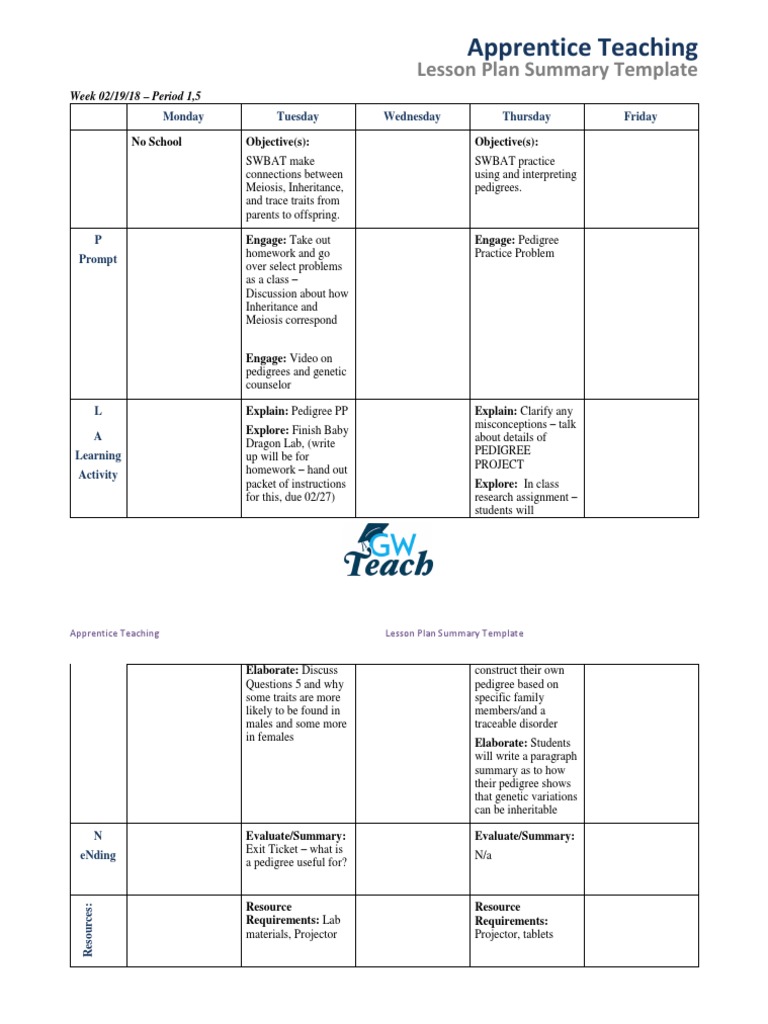 Apprentice Teaching: Lesson Plan Summary Template | PDF | Lesson Plan ...