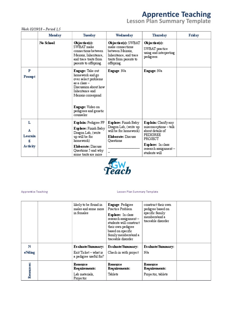 Apprentice Teaching: Lesson Plan Summary Template | PDF | Lesson Plan ...