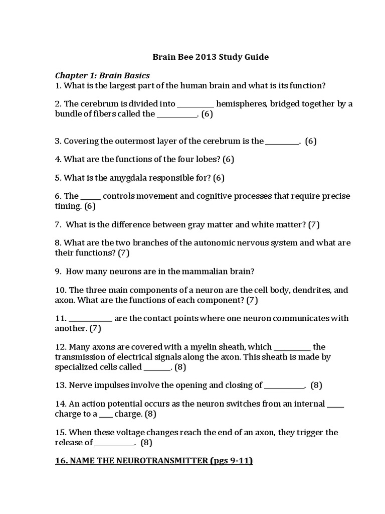 Brain Bee Study Questions | PDF | Stimulus (Physiology) | Neurotransmitter