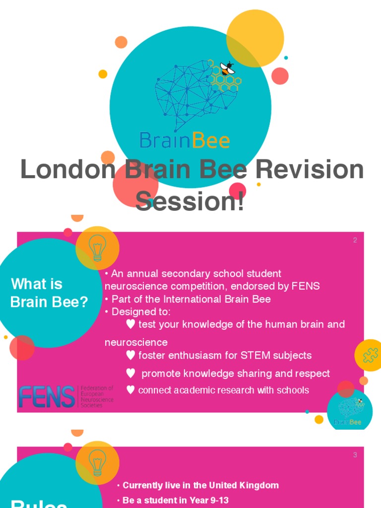 British Brain Bee Revision Session Powerpoint | PDF | Auditory System ...