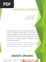 Triptico Del Sistema Excretor | PDF | Sistema urinario | Riñón