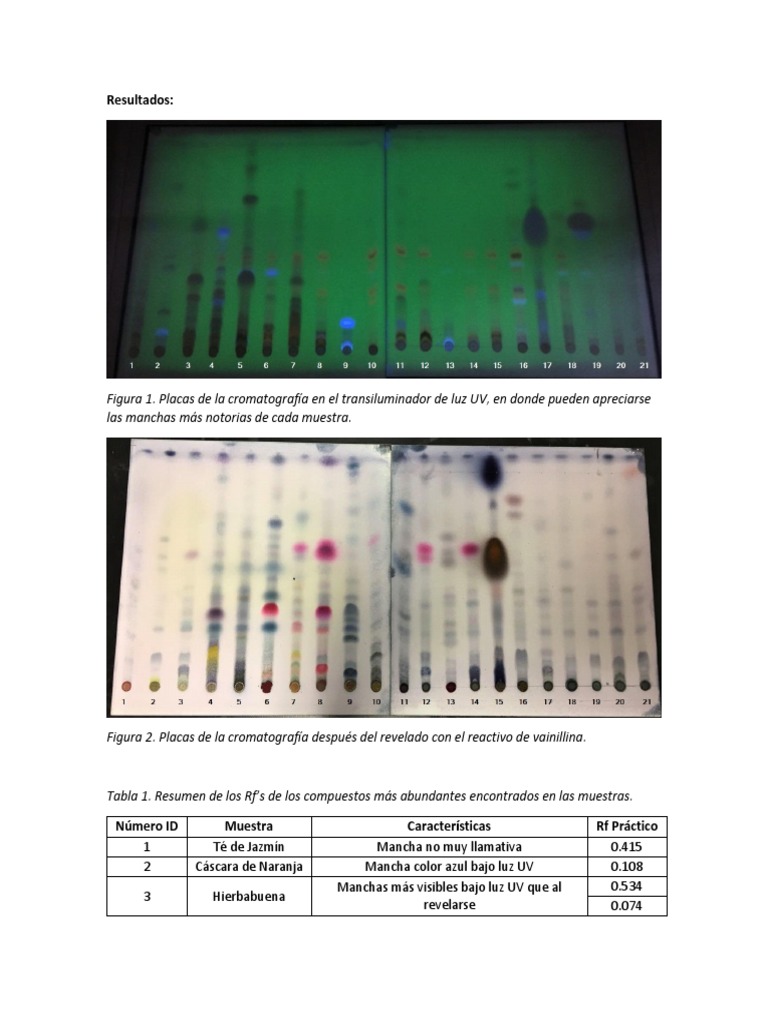 Resultados 1 Extracción Y Separación De Aceites Esenciales Por