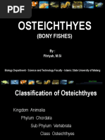 Endocrine System of Fish | PDF | Luteinizing Hormone | Endocrine System