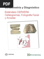 Anatomía y Cultura de las Nalgas | PDF | Nalgas | Anatomía humana