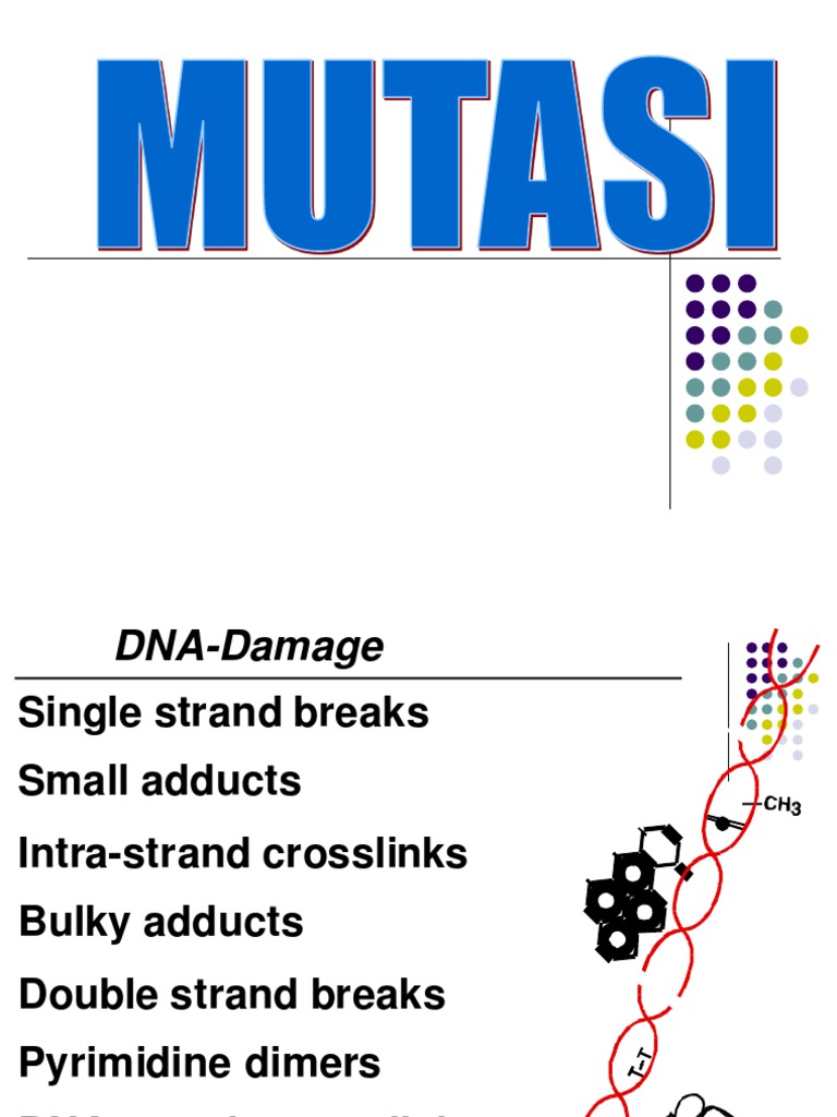TRW - Mutasi Dan DNA Repair | PDF | Dna Repair | Biological Processes