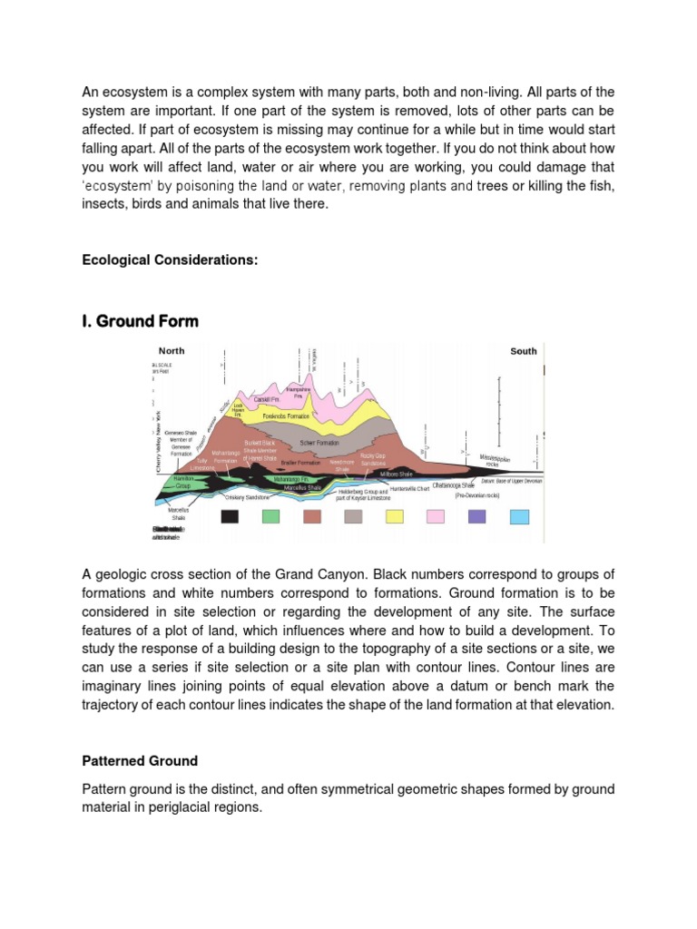 I. Ground Form: Ecological Considerations | Wetland | Ecology