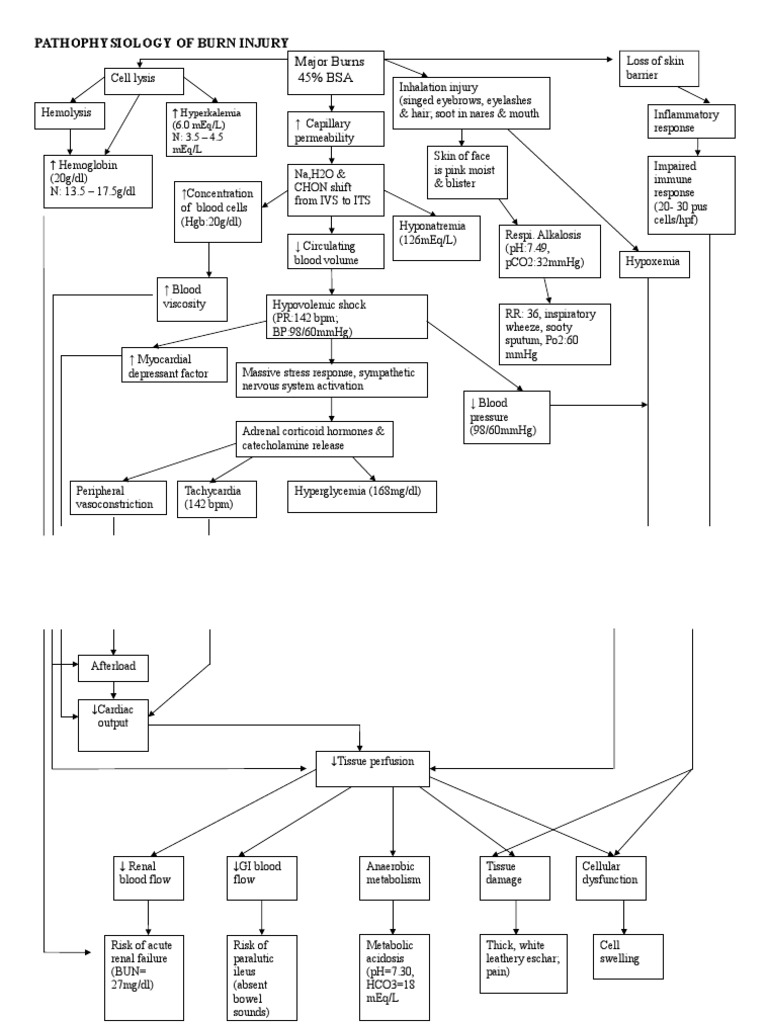 Pathophysiology of Burn Injury: Major Burns 45% BSA | PDF | Shock ...