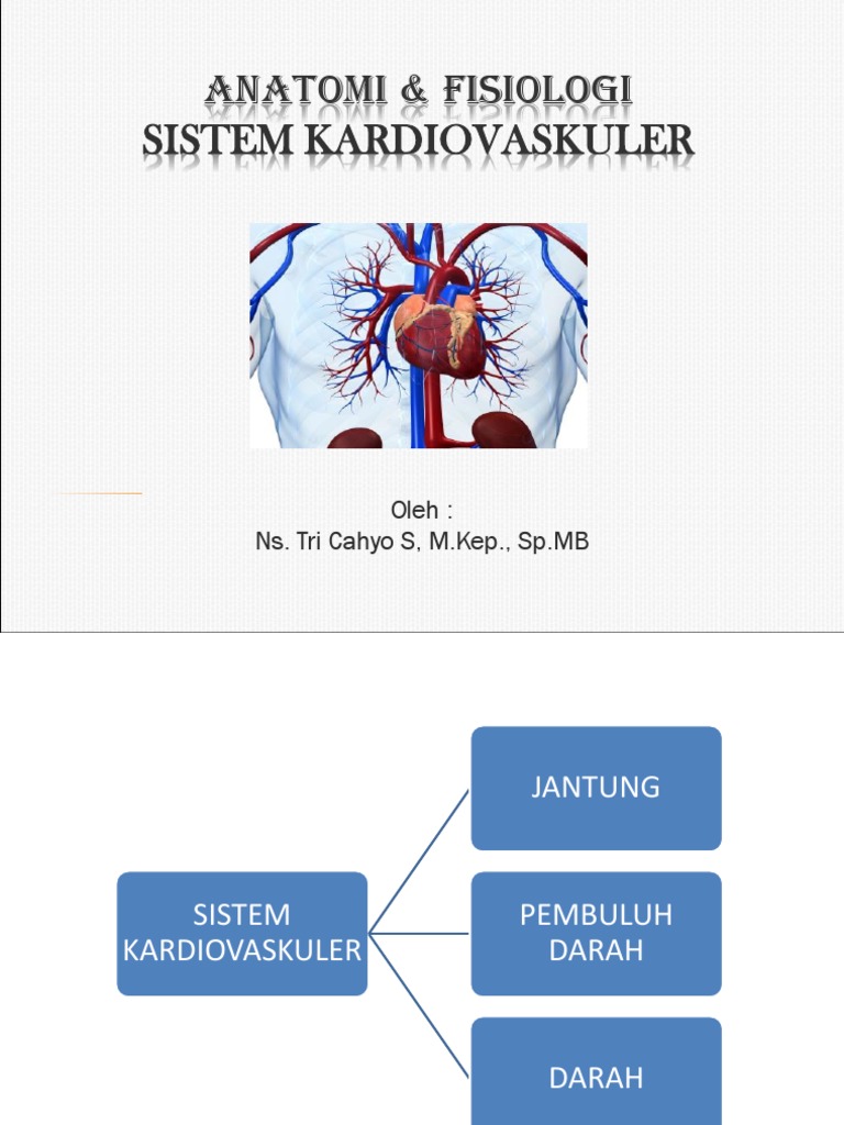 Sistem Kardiovaskuler | PDF