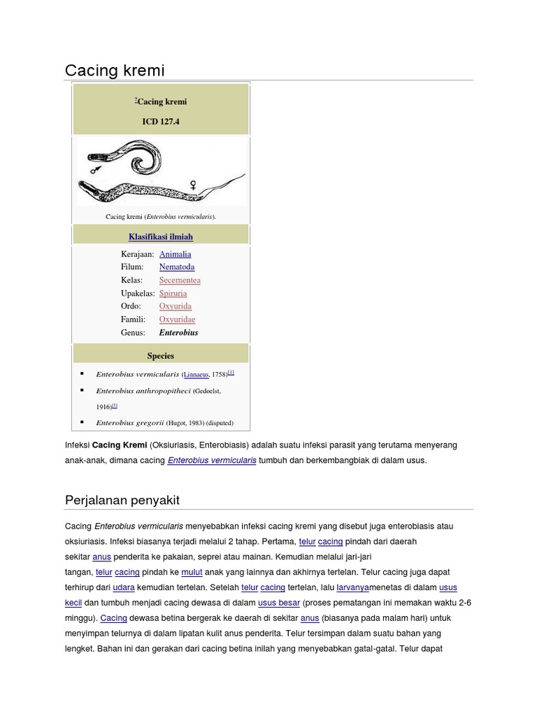 Cacing Kremi Enterobius Vermicularis | PDF