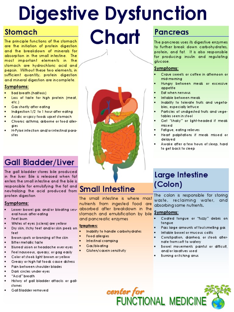 Digestive Dysfunction Map | PDF | Digestion | Bile