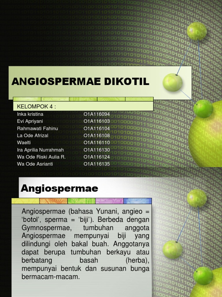 Angiospermae | PDF | Griya & Taman | Kesehatan Holistik