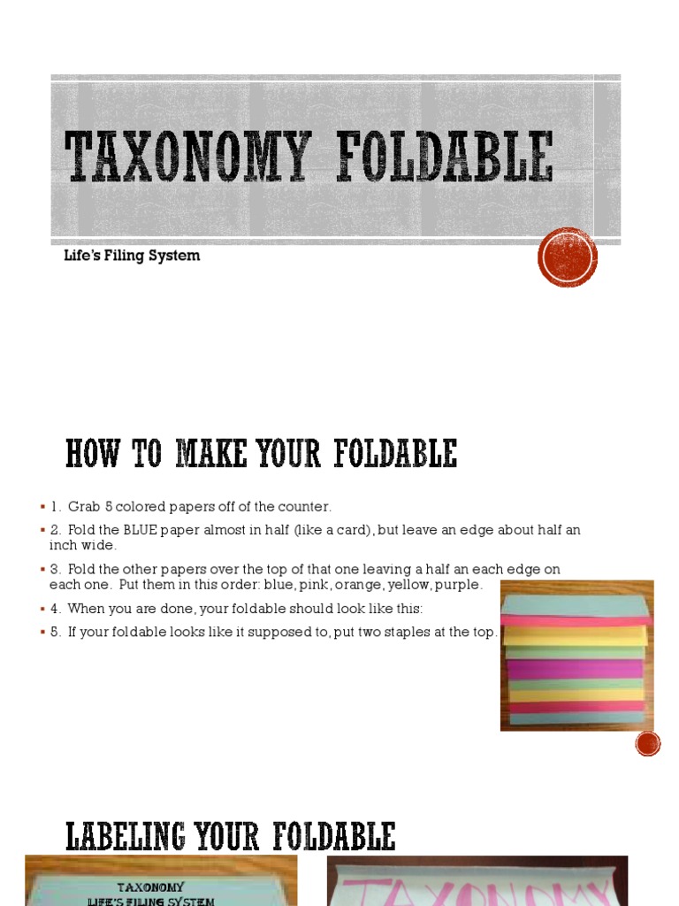 Taxonomy Foldable | PDF | Cell (Biology) | Taxa