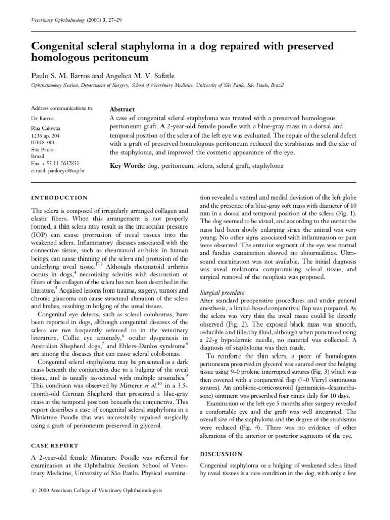 Congenital Scleral Staphyloma in A Dog Repaired With Preserved ...