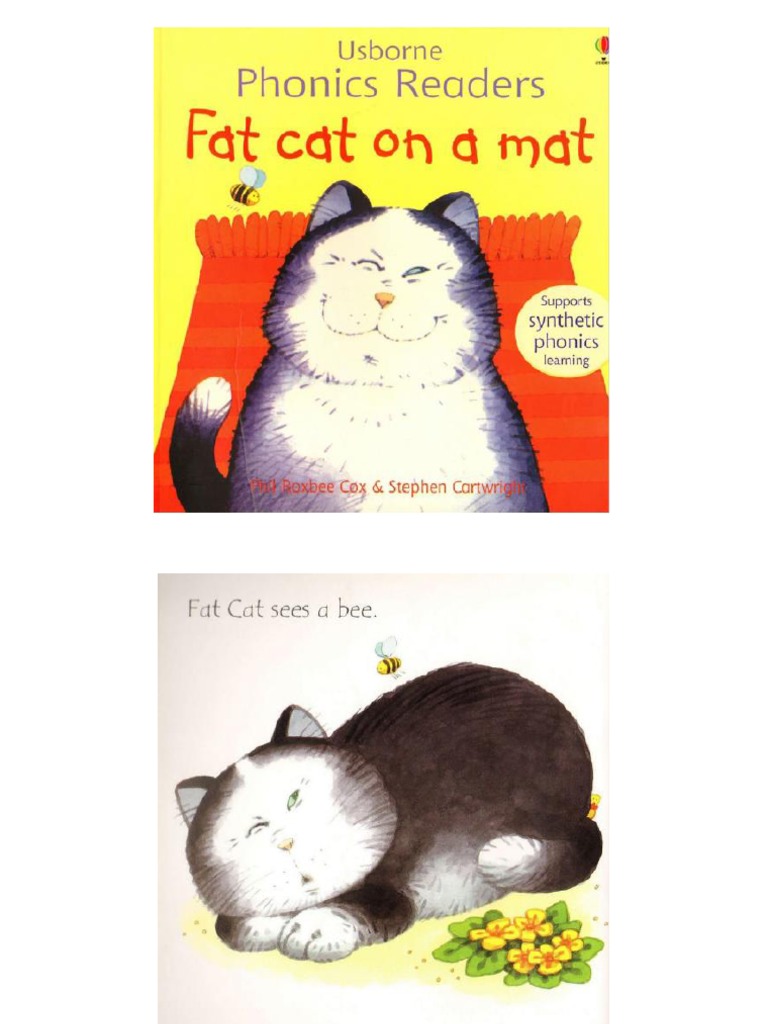 Fat Cat On A Mat Slides | PDF