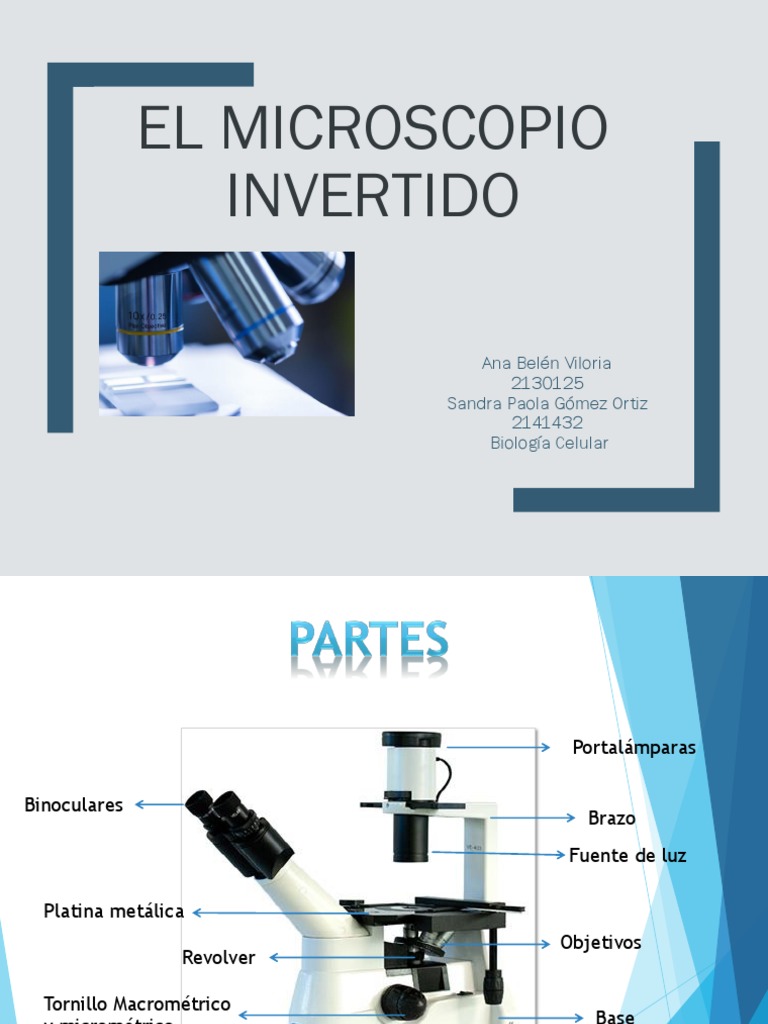 El microscopio invertido: componentes y aplicaciones | PDF