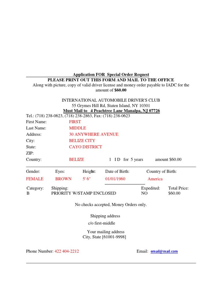 International Drivers Permit Template | PDF