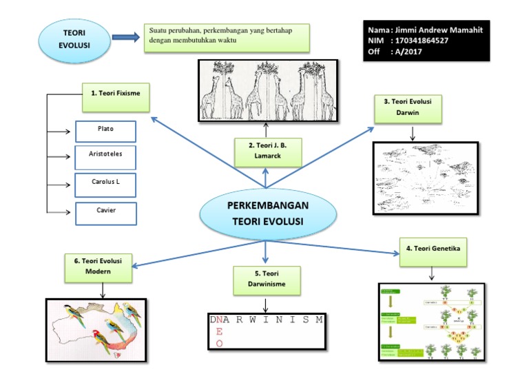 Mind Map Teori Evolusi | PDF