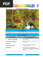 Flora y Fauna Queretaro | PDF