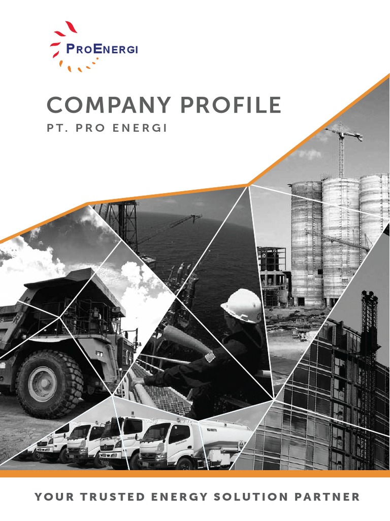 Profil Perusahaan PT Pro Energi | PDF | Bisnis | Pengelolaan Keuangan ...