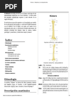 Tróclea - Qué Es, Significado, Ubicación, Función y Lesiones | PDF ...