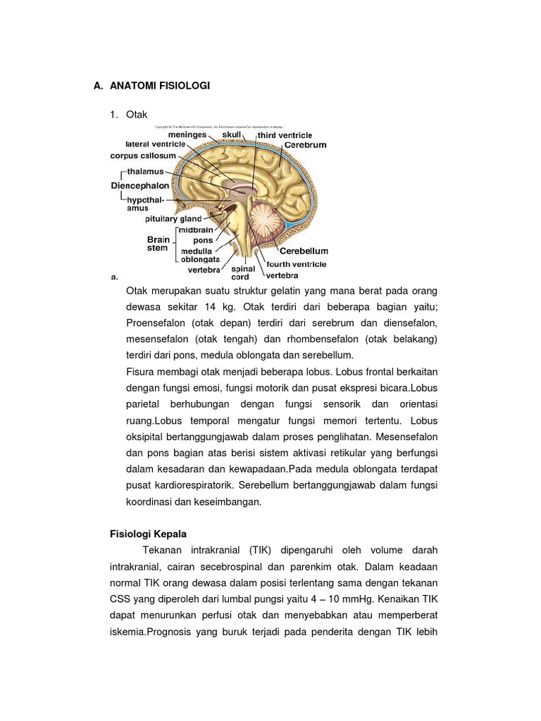 LP Cephalgia | PDF | Pengembangan Diri | Kesehatan Holistik