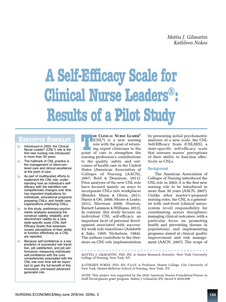 A Self-Efficacy Scale for Clinical Nurse Leaders: Results of a Pilot Study