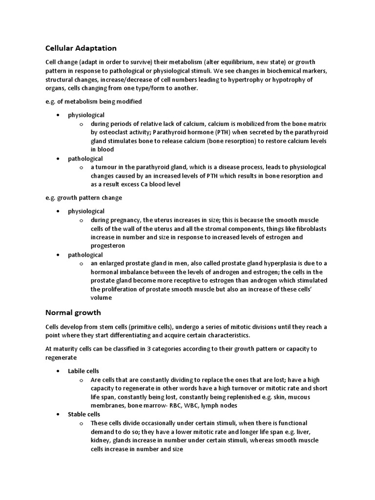 Cellular Adaptation: Labile Cells | PDF | Atrophy | Metastasis
