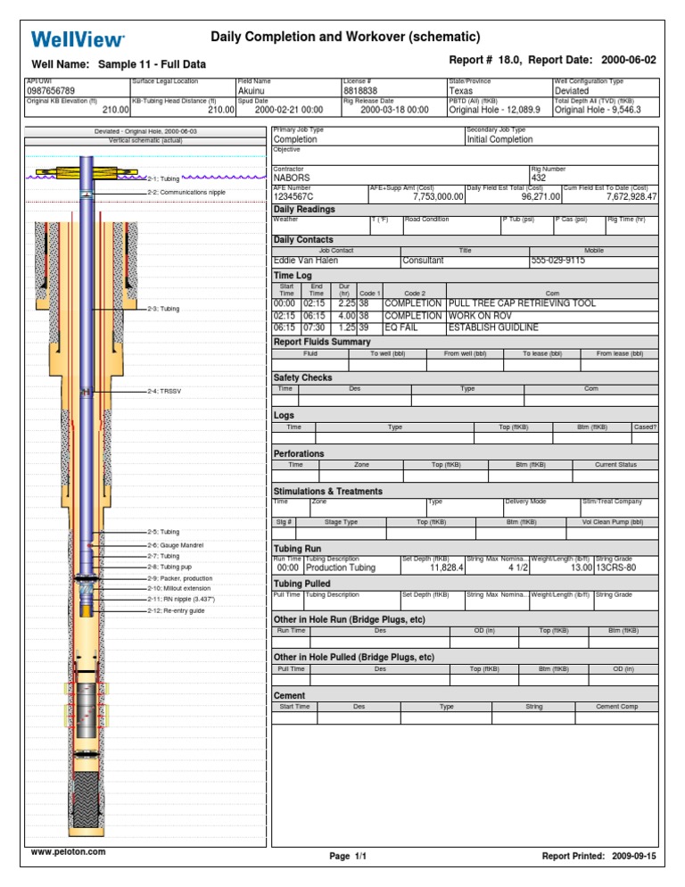 Daily Completion and Workover (Schematic) : Well Name: Sample 11 - Full ...