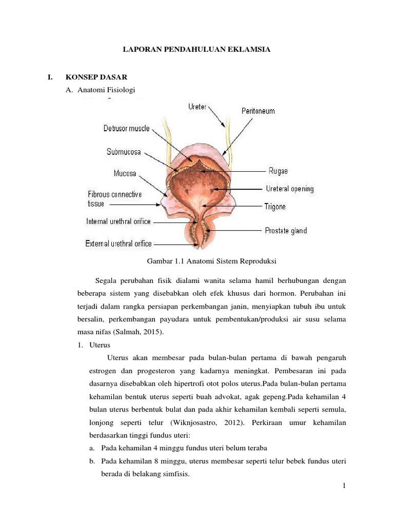 Laporan Pendahuluan Eklamsia Kehamilan | PDF