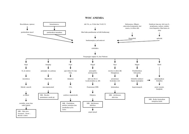 Woc Anemia | PDF