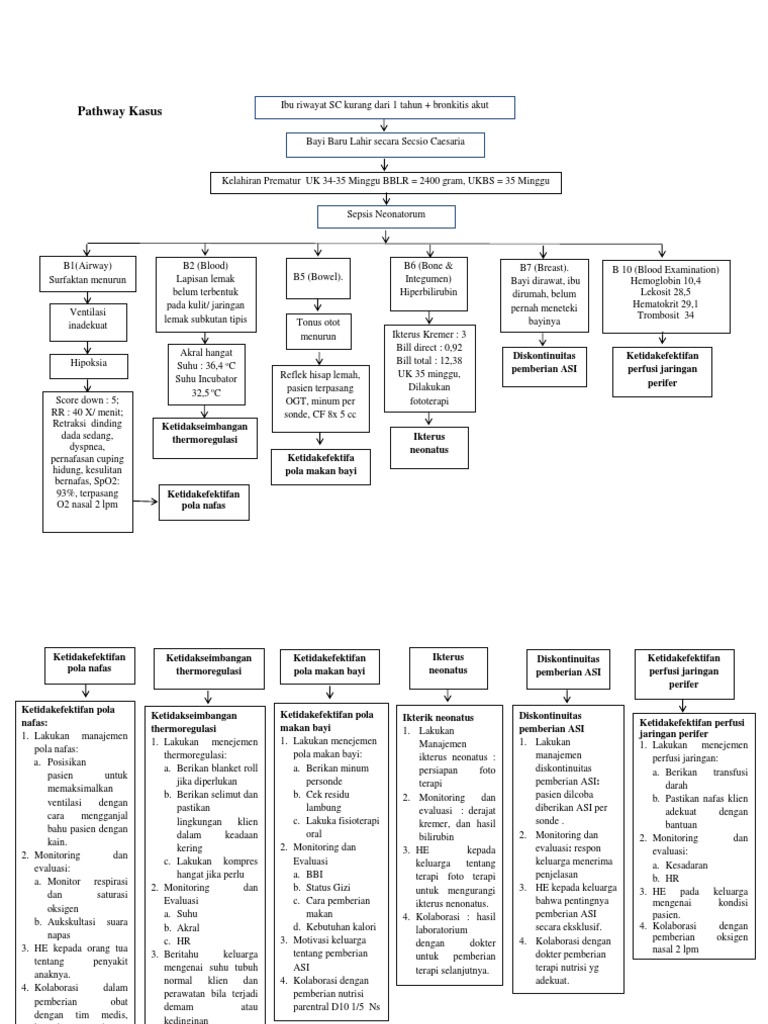 Pathway Penanganan Bayi Prematur | PDF