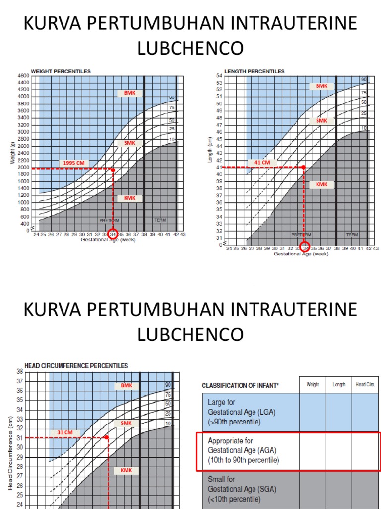 Kurva Pertumbuhan Intrauterine Lubchenco | PDF