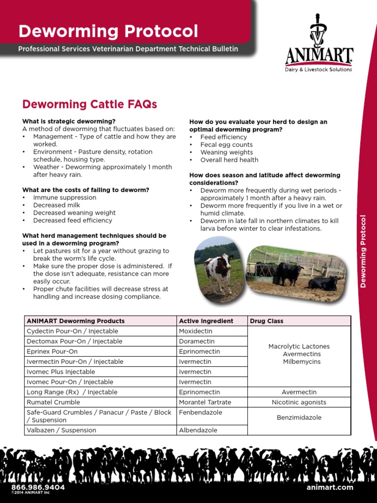 Deworming Protocol | PDF | Calf | Cattle