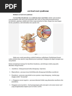 Peta Dermatome dan Inervasi Saraf | PDF