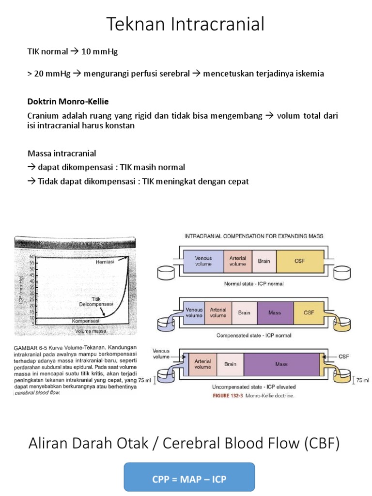 Indikasi CT Scan | PDF