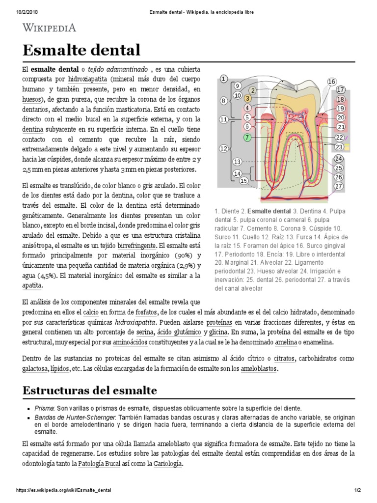 Esmalte Dental - Wikipedia, La Enciclopedia Libre | PDF | Esmalte de ...