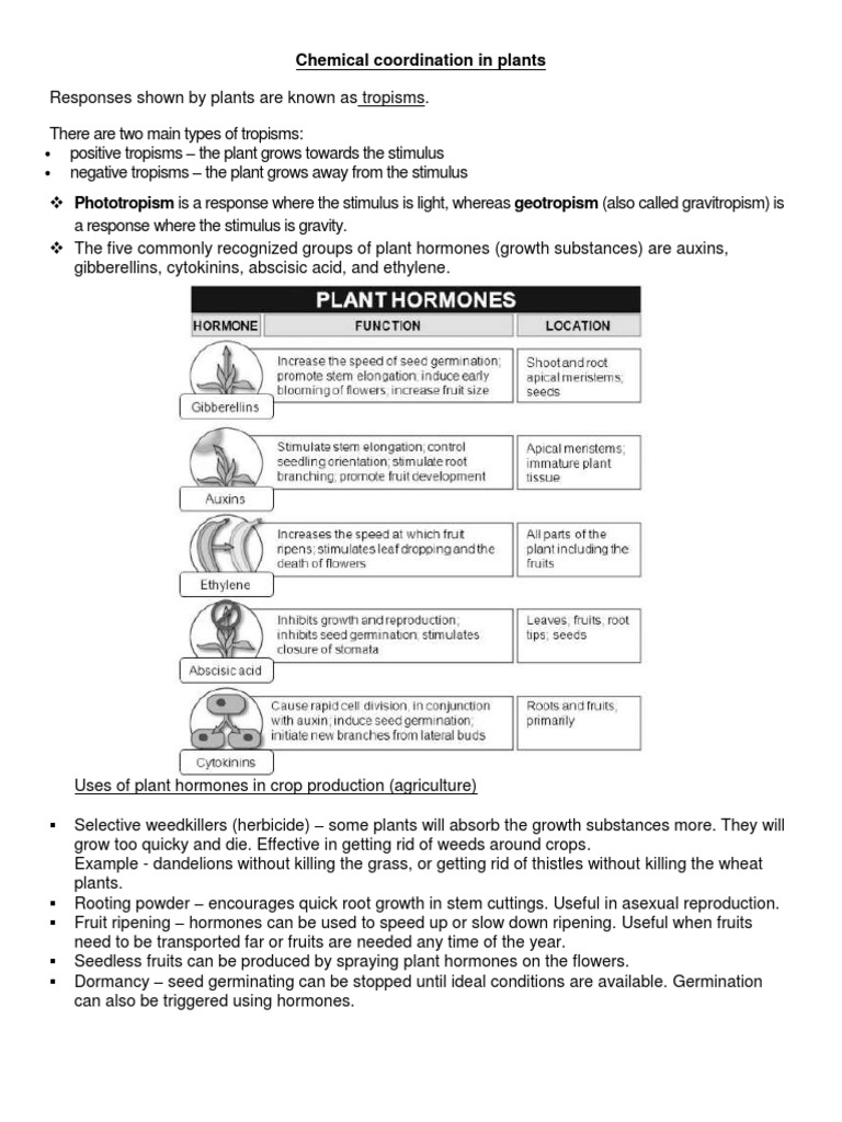 Chemical Coordination in Plants | PDF | Plant Hormone | Auxin