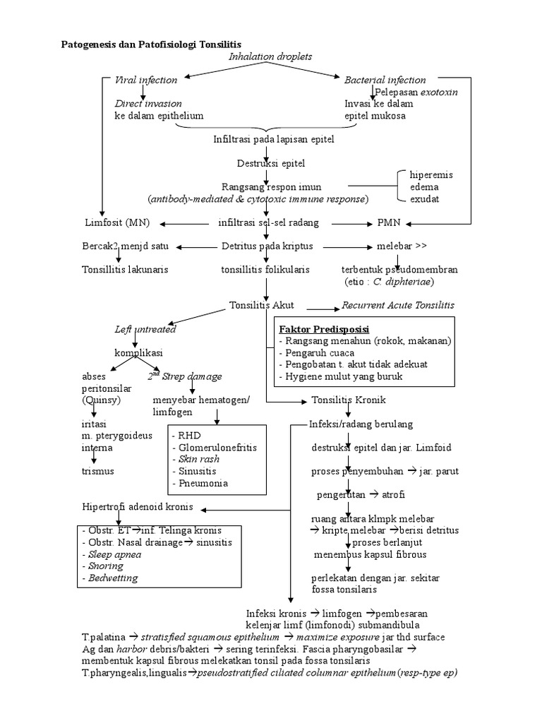 Patogenesis dan Patofisiologi Tonsilitis | PDF