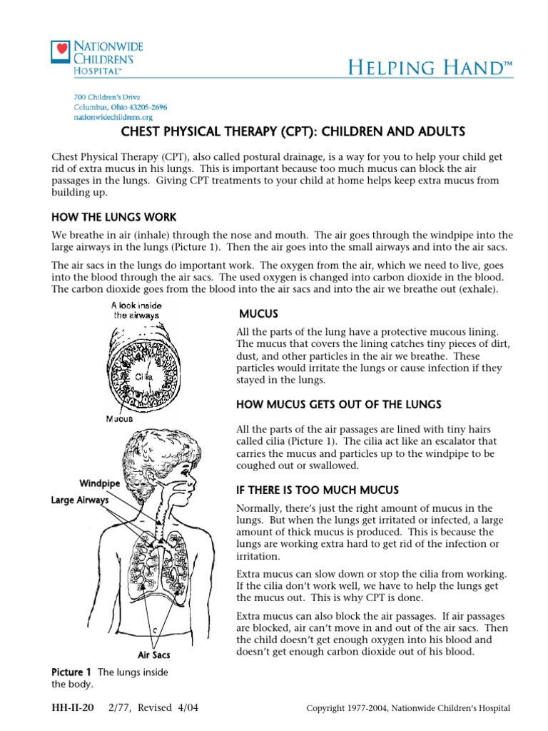 Chest Physical Therapy Children Adults | PDF | Respiratory Tract | Mucus