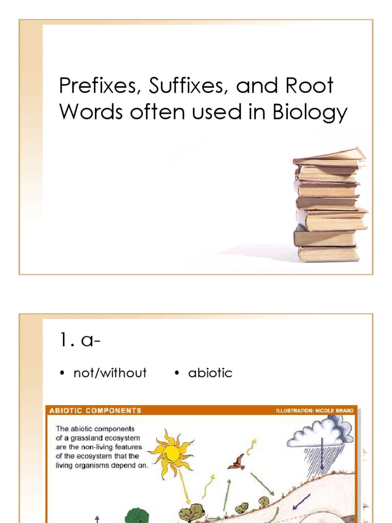 Prefixes Suffixes and Root Words Often | PDF | Biology | Organisms
