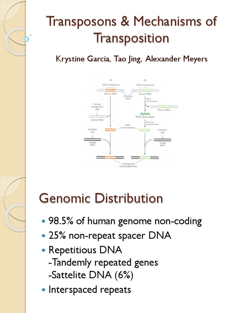 Transposons & Mechanisms of Transposition: Krystine Garcia, Tao Jing ...