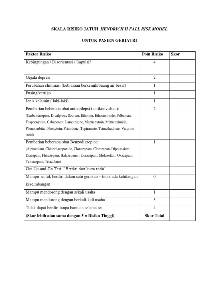 Hendrick Fall Risk Model | PDF