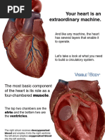 Virtual Heart Dissection PDF | PDF | Heart Valve | Ventricle (Heart)