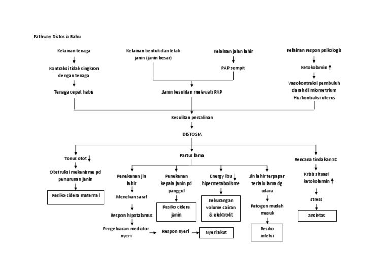 Pathway Distosia Bahu dan Tatalaksana | PDF
