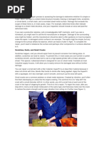 Types of Metal Damage Explained | PDF | Corrosion | Metals