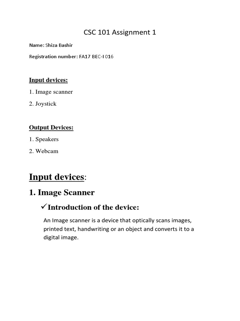 CSC 101 Assignment 1 | PDF | Loudspeaker | Image Scanner