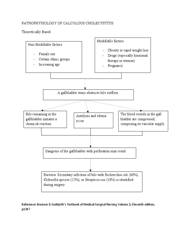 Understanding Calculous Cholecystitis | PDF