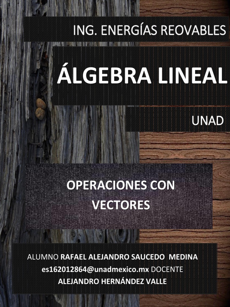 Eali U1 A2 Rasm | PDF | Álgebra | Álgebra lineal