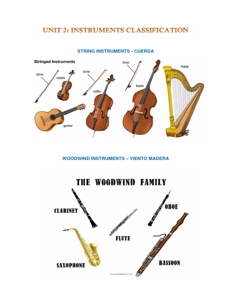 Instruments Classification | PDF